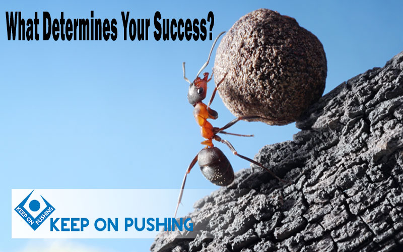 What Determines Your Success? | Devon Harris